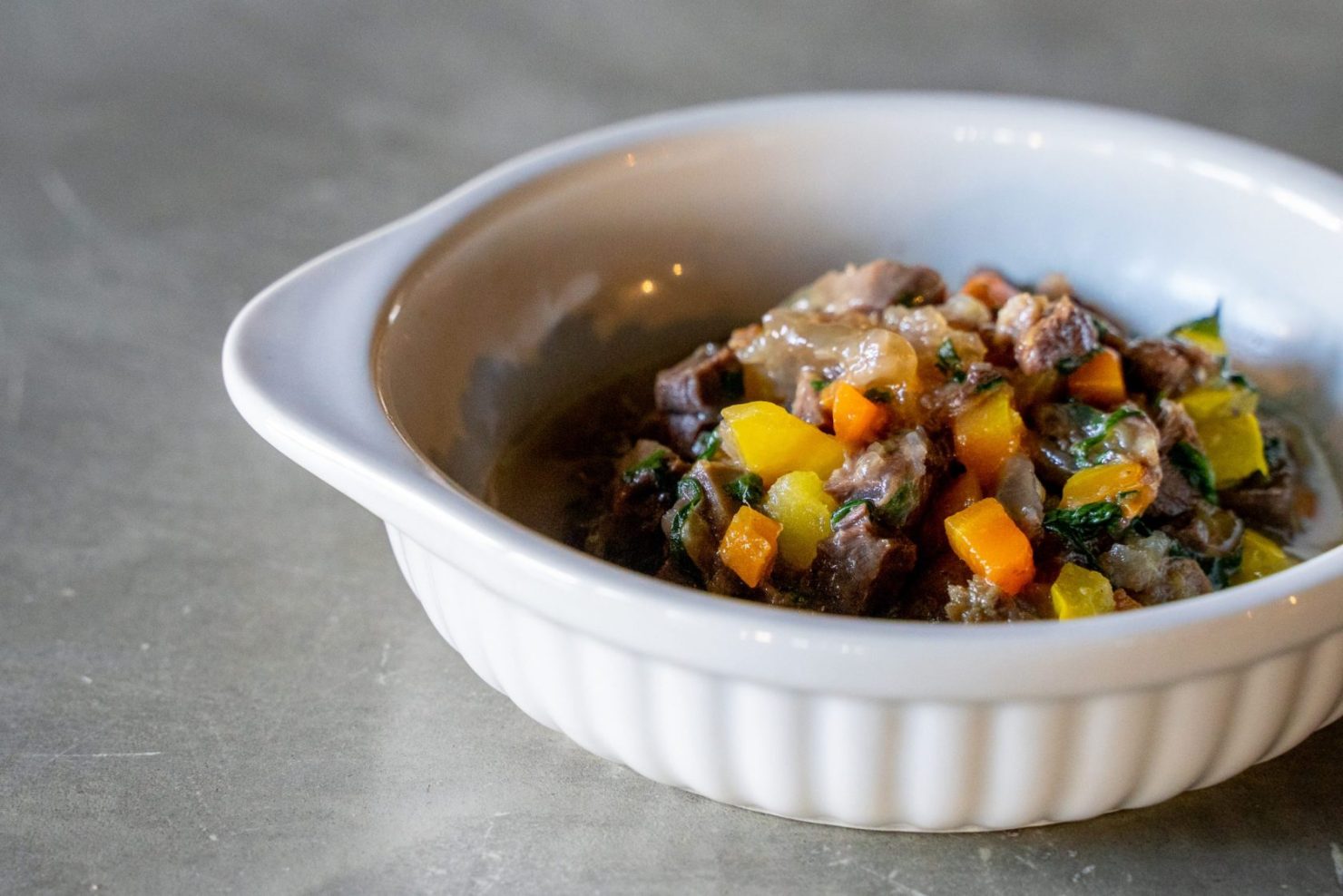 国産無添加ドッグフード Ishca